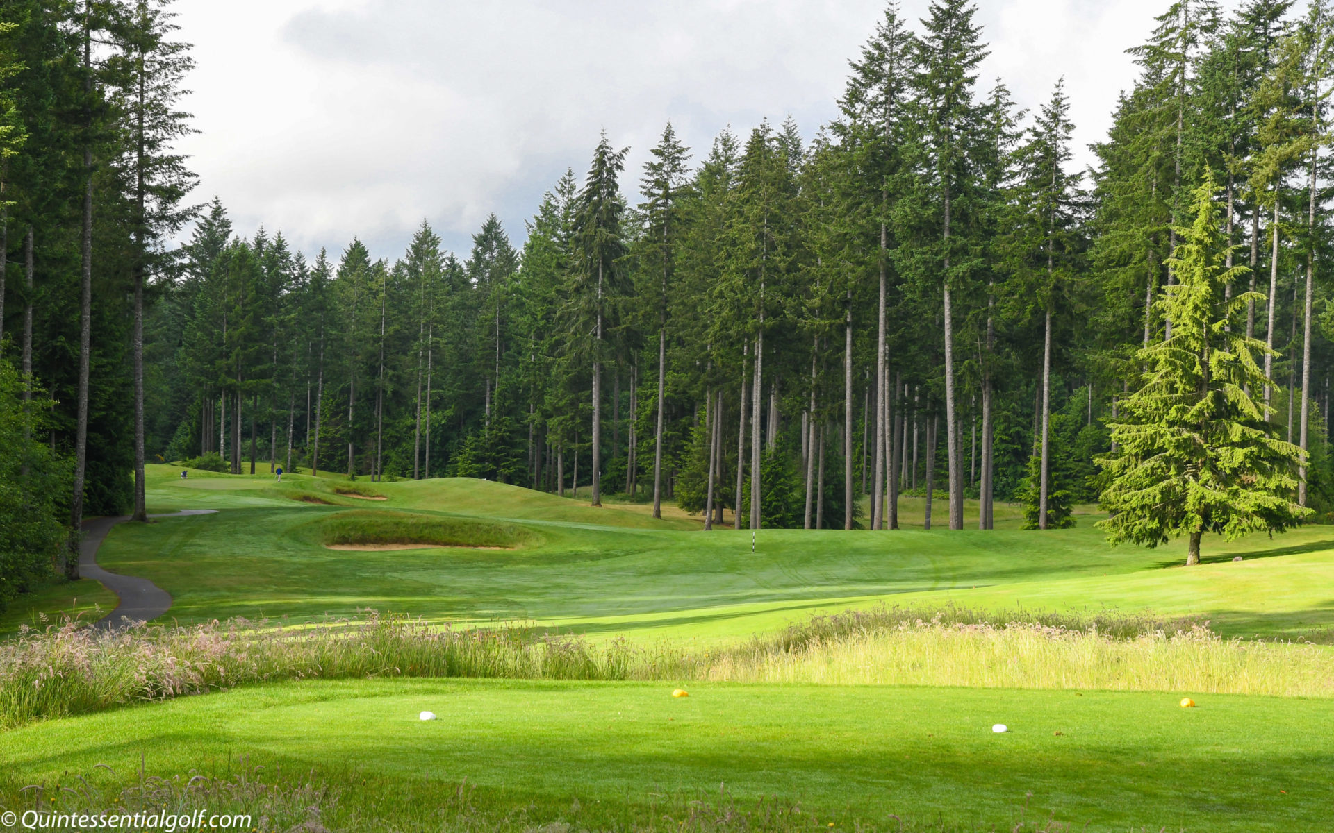 Gold Mountain Golf Club - Quintessential Golf