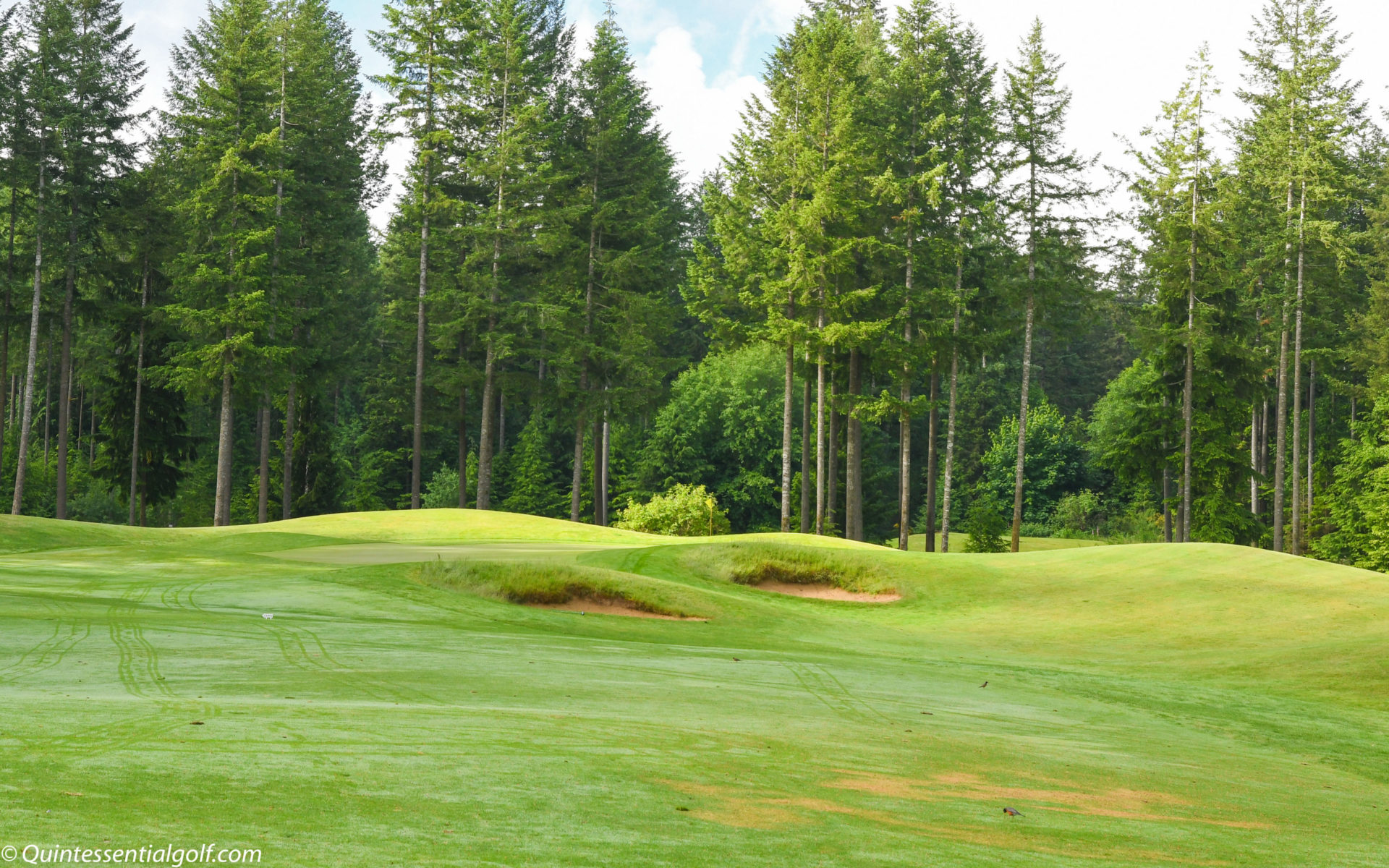 Gold Mountain Golf Club - Quintessential Golf