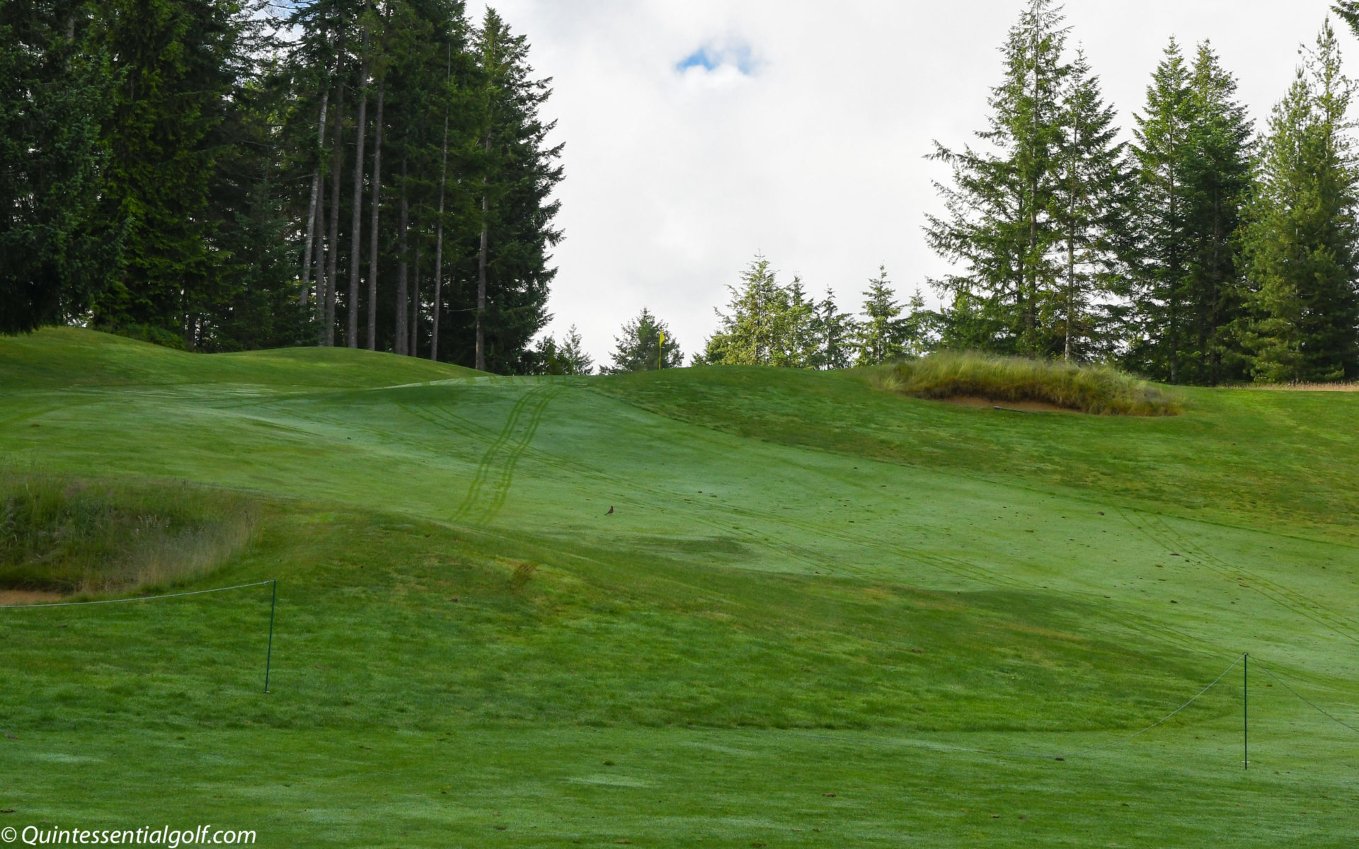 Gold Mountain Golf Club - Quintessential Golf