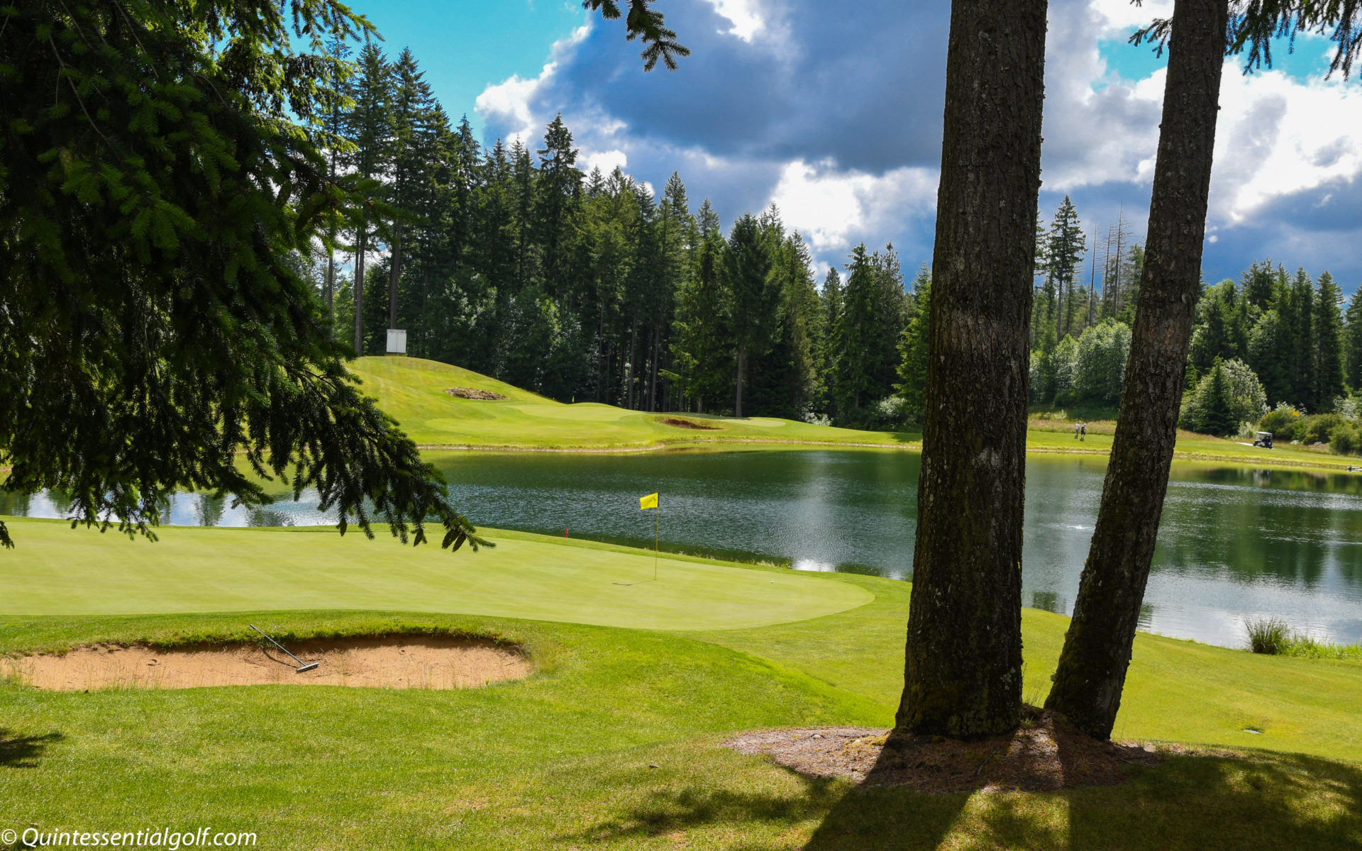 Gold Mountain Golf Club - Quintessential Golf