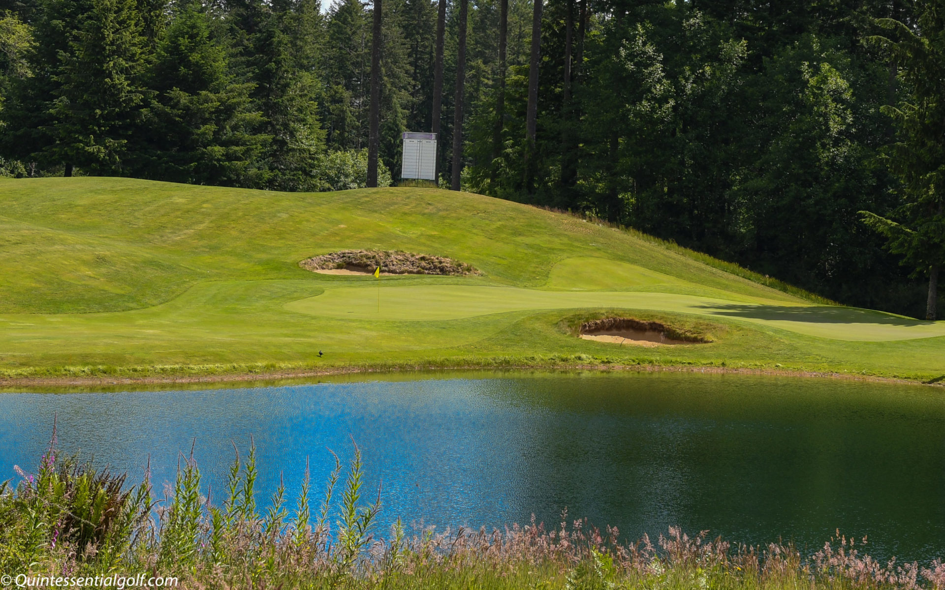 Gold Mountain Golf Club - Quintessential Golf