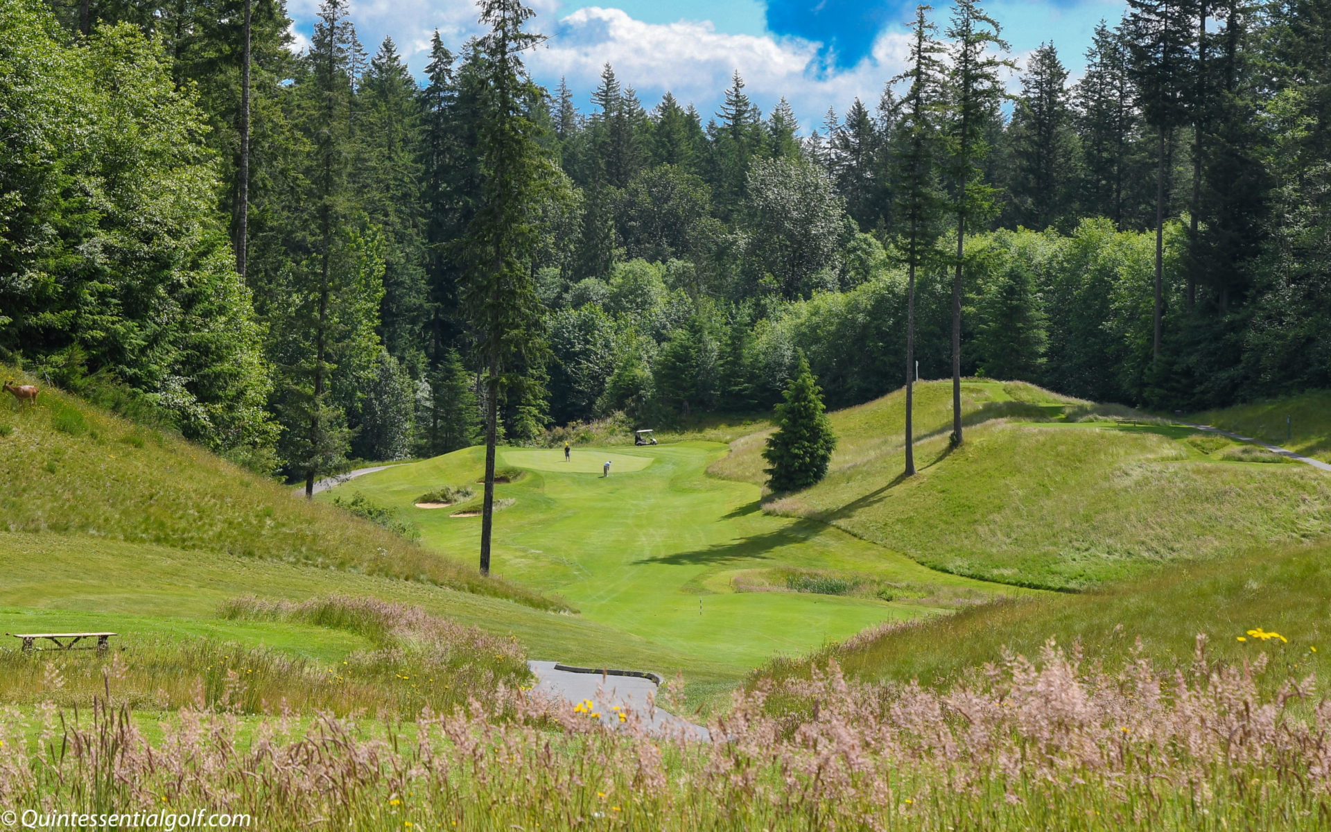 Gold Mountain Golf Club - Quintessential Golf