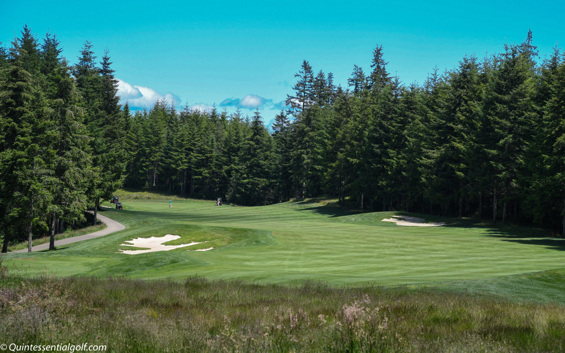 Salish Cliffs Golf Club - Quintessential Golf