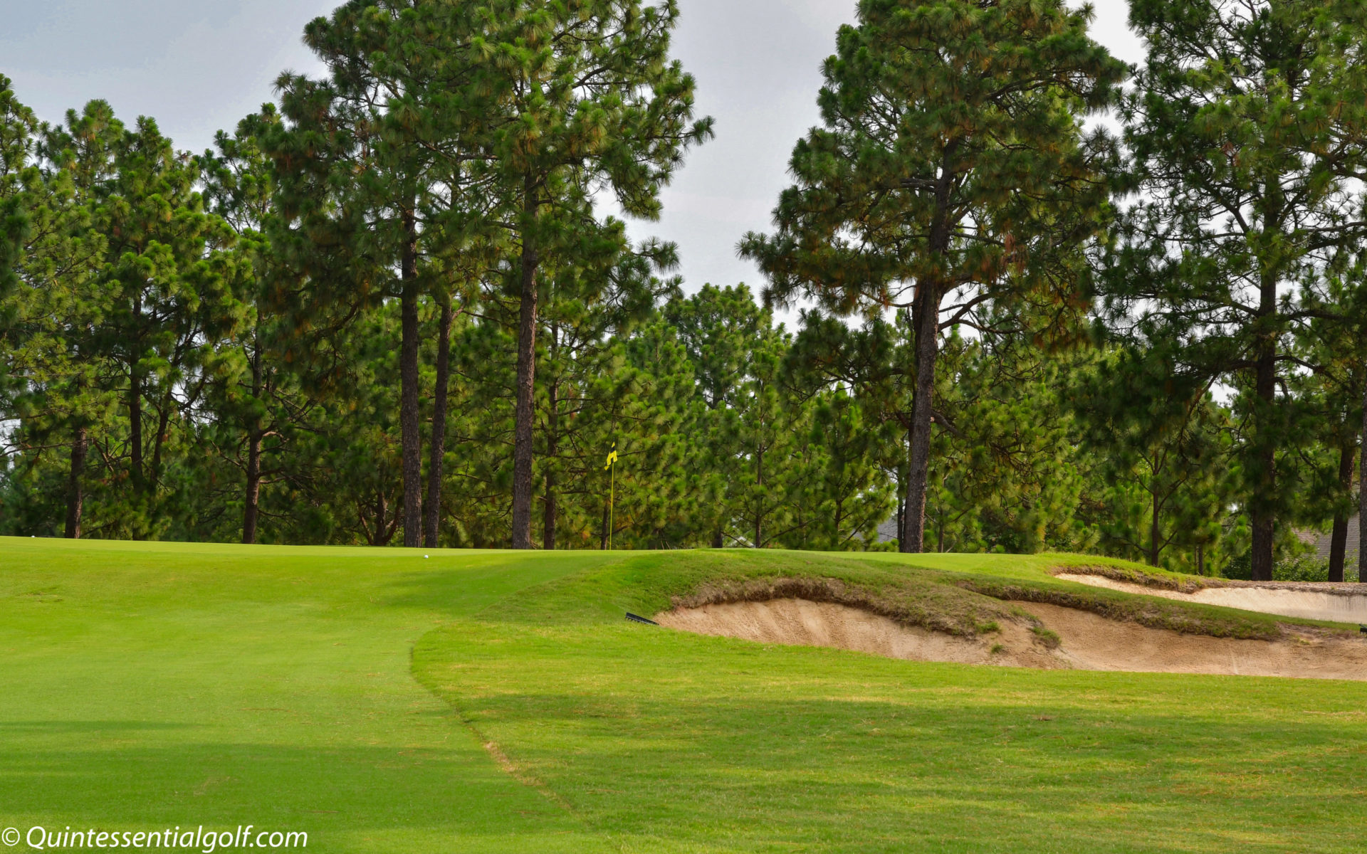 Pinehurst No. 6 - Fazio Design - Quintessential Golf