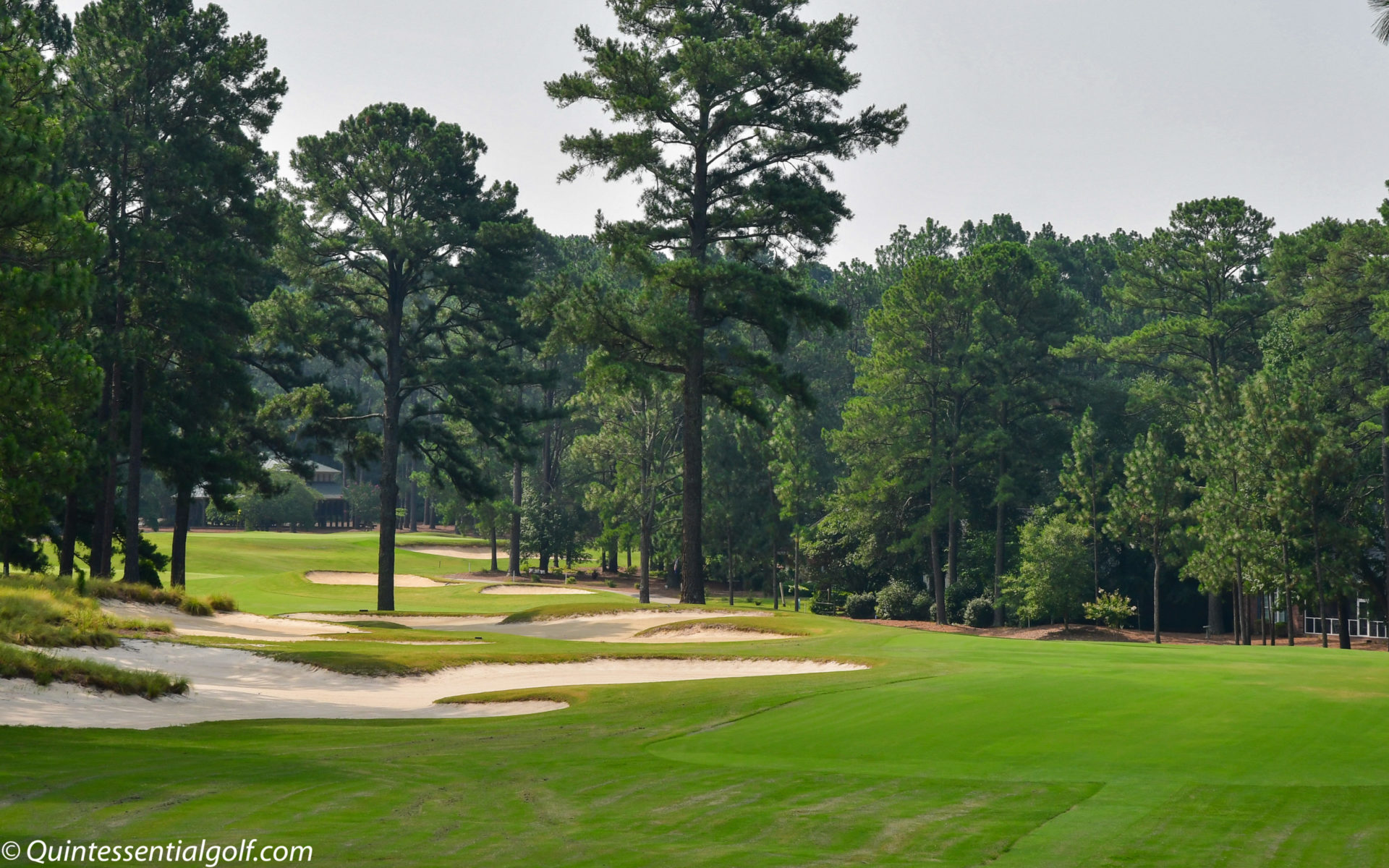 Pinehurst No. 6 - Fazio Design - Quintessential Golf