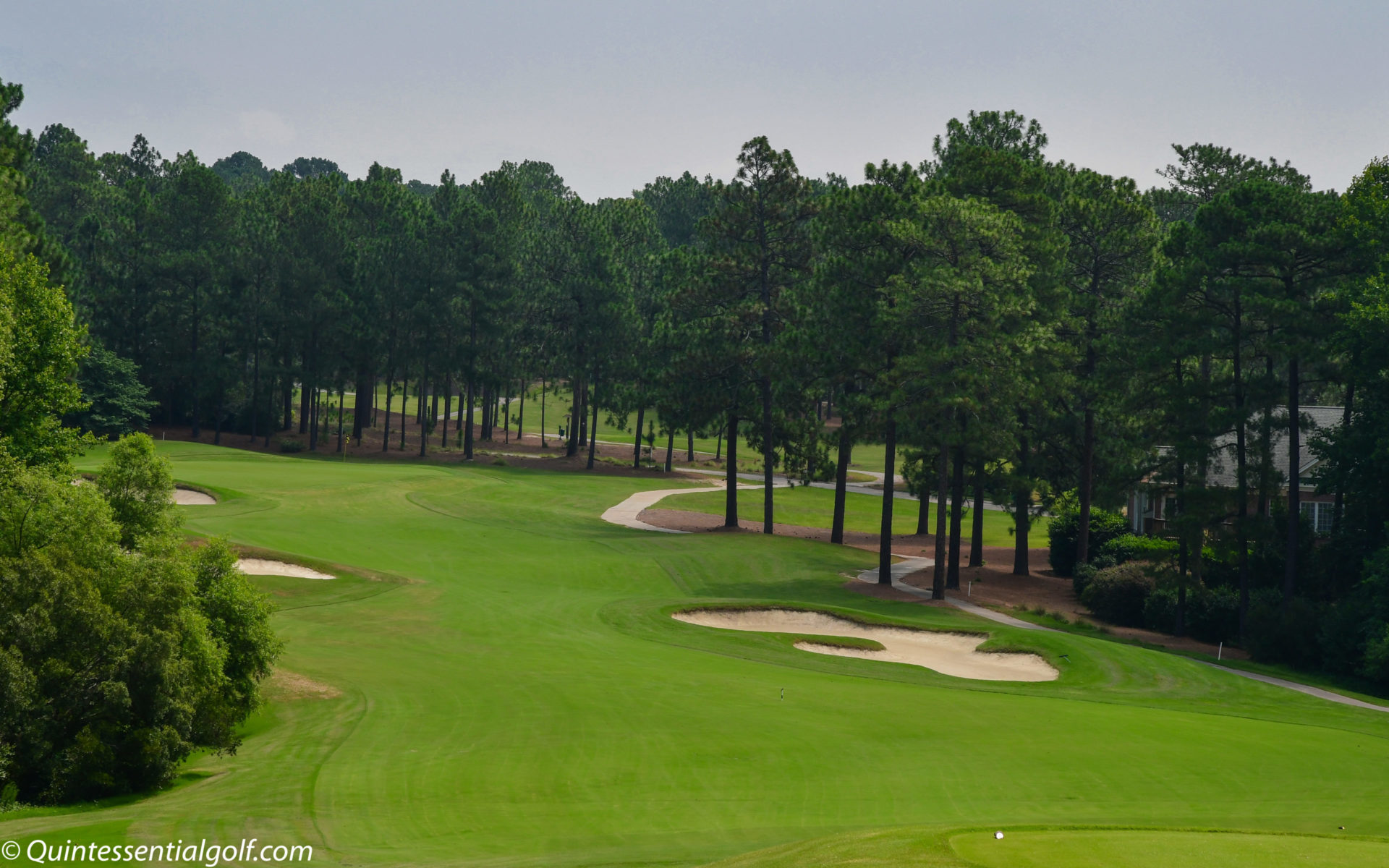 Pinehurst No. 6 - Fazio Design - Quintessential Golf