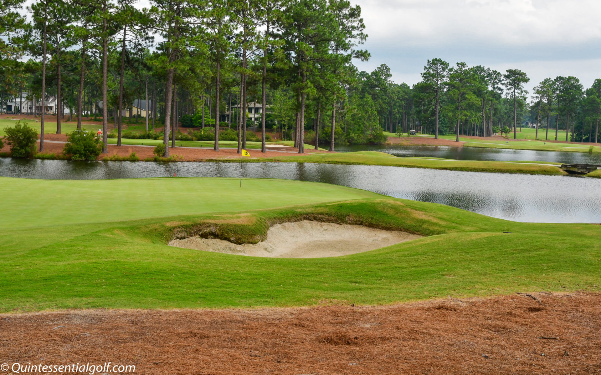 Pinehurst No. 9 - The National - Quintessential Golf