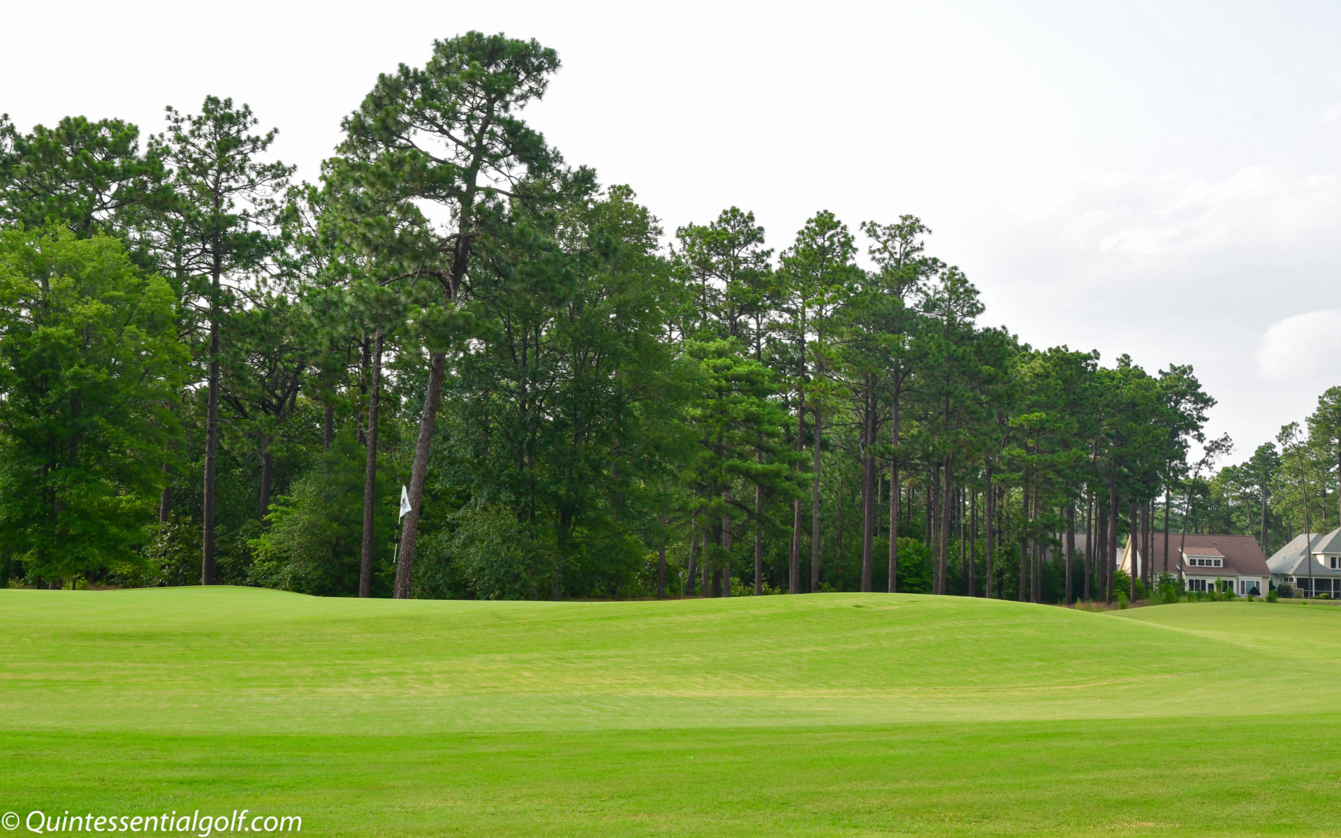 Pinehurst No. 9 - The National - Quintessential Golf