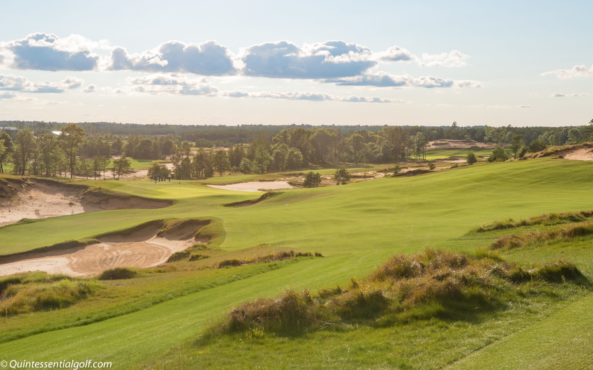 Sand Valley - Mammoth Dunes - Quintessential Golf