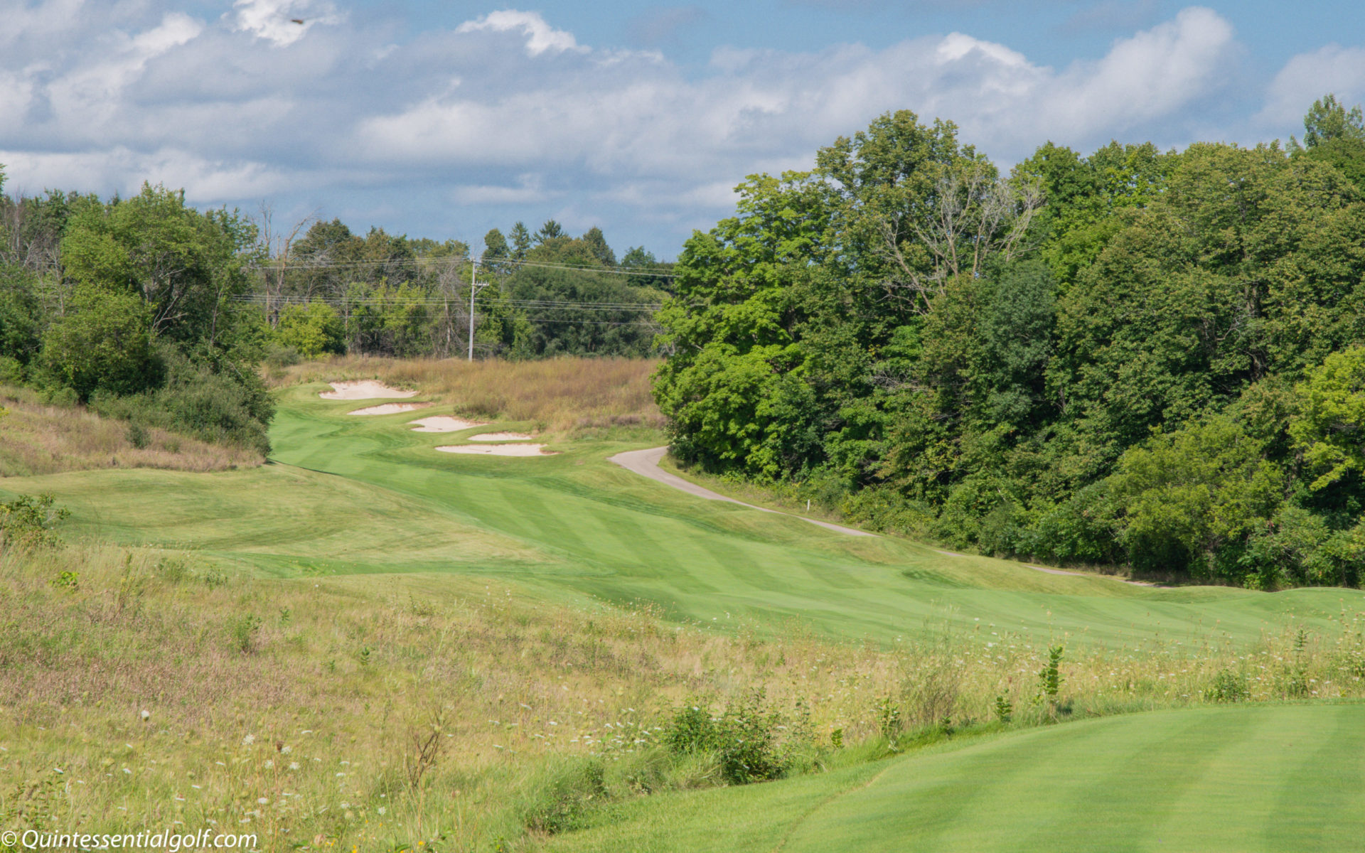The Bog Course - Wisconsin - Quintessential Golf