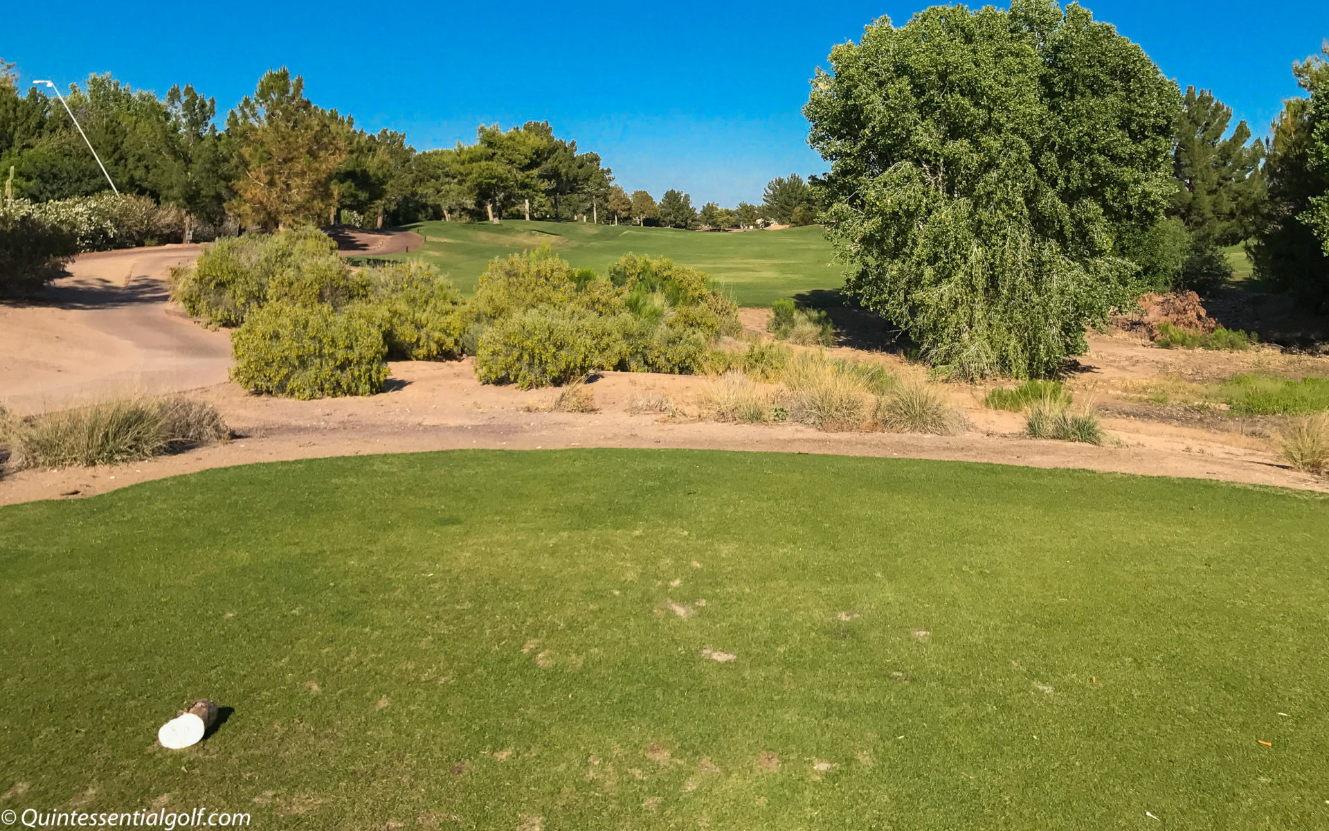 Raven Golf Club - Carolina Golf in the Desert - Quintessential Golf