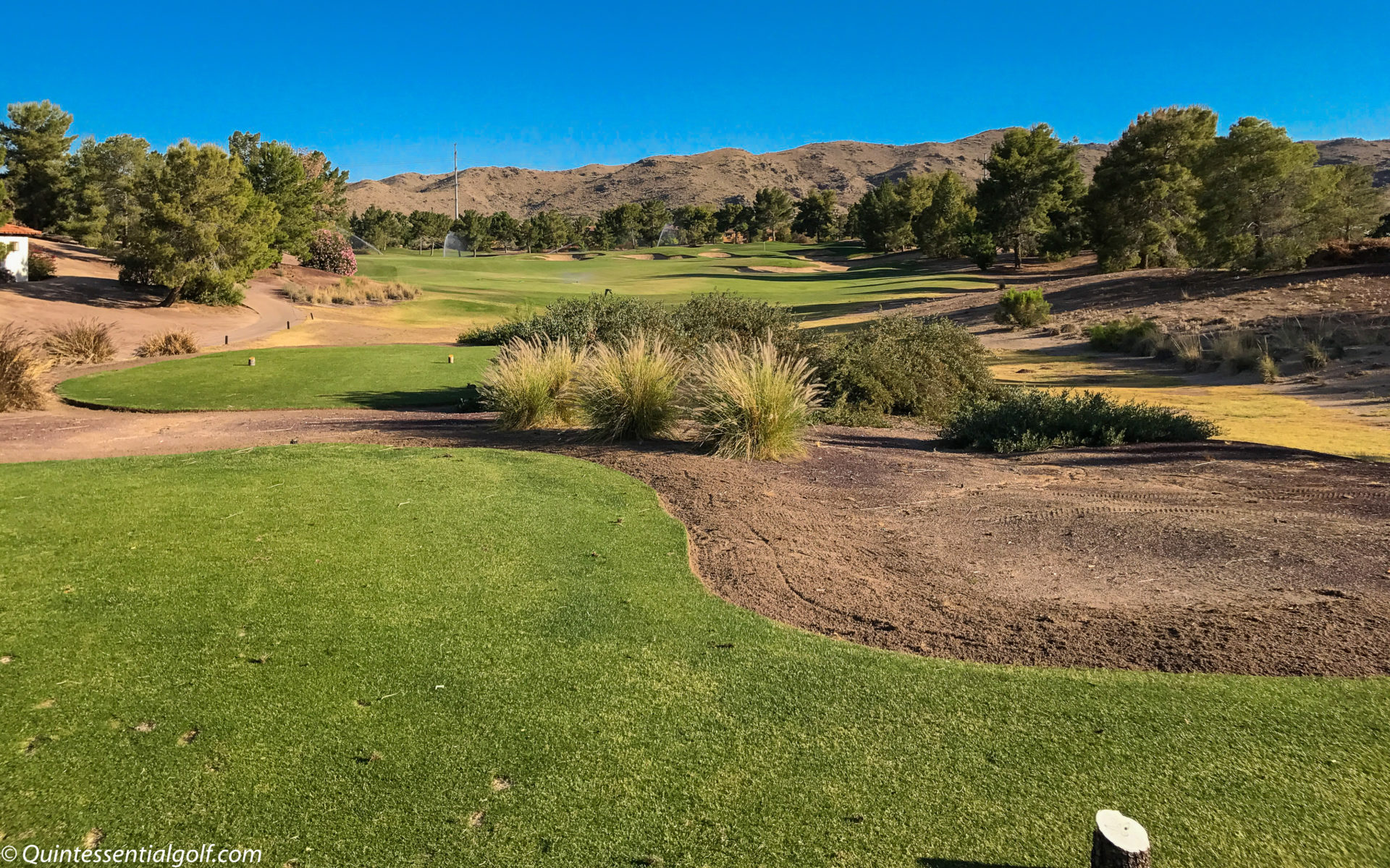 Raven Golf Club - Carolina Golf in the Desert - Quintessential Golf