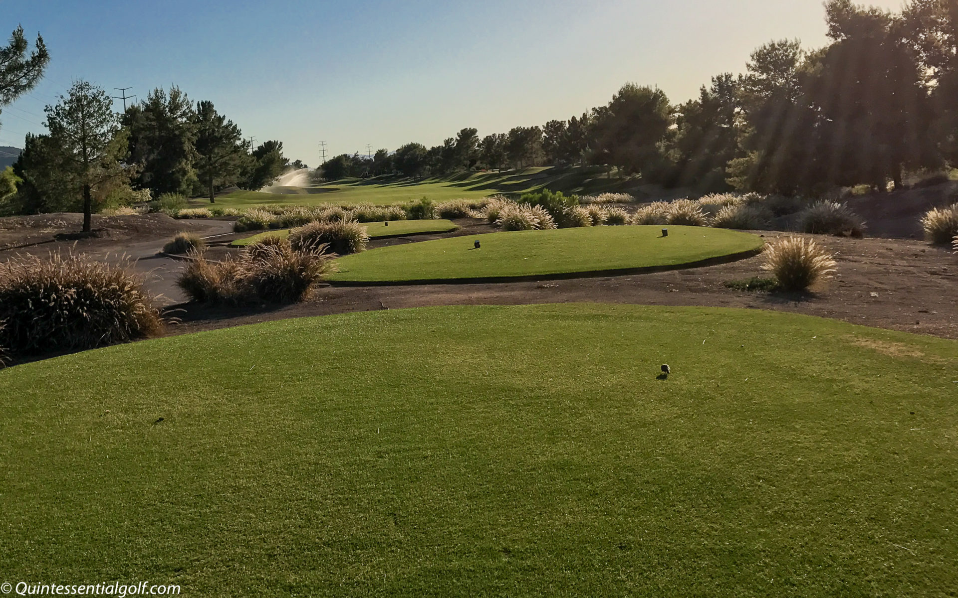 Raven Golf Club - Carolina Golf in the Desert - Quintessential Golf