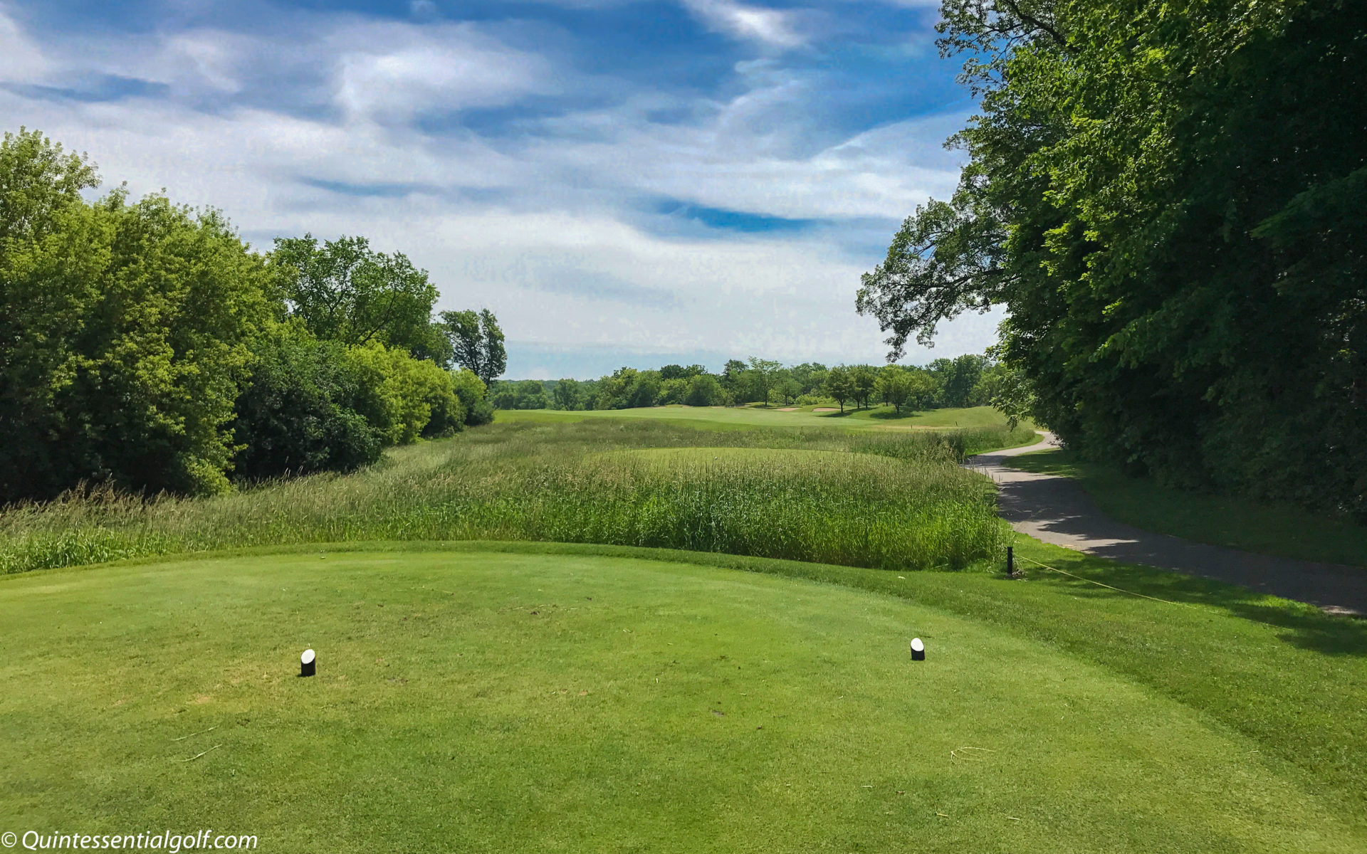 Geneva National - Player Course - Quintessential Golf