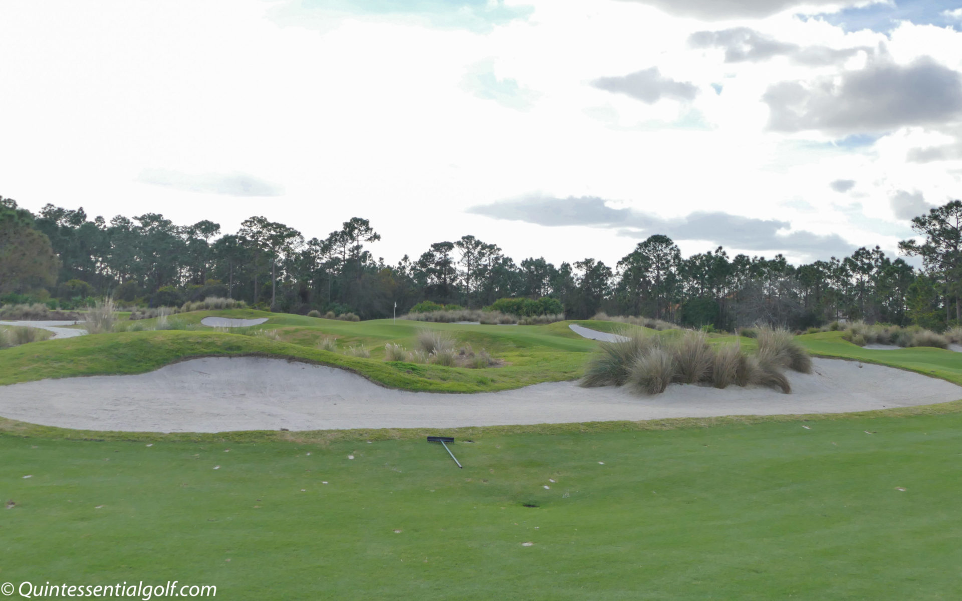 PGA Golf Club Dye Course - Quintessential Golf