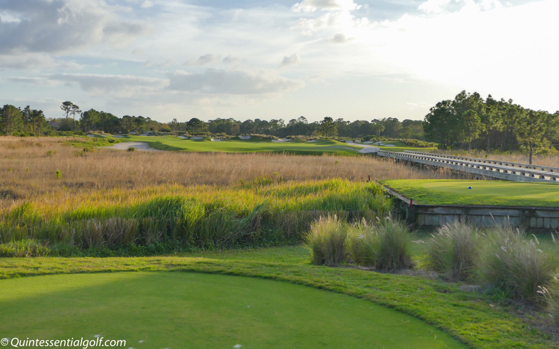PGA Golf Club Dye Course - Quintessential Golf