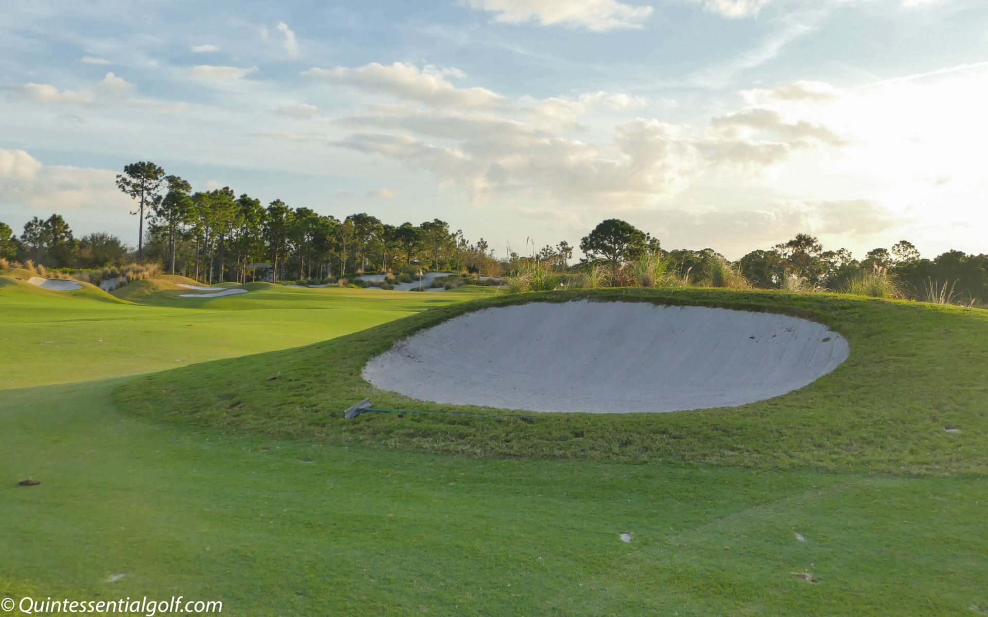 PGA Golf Club Dye Course - Quintessential Golf