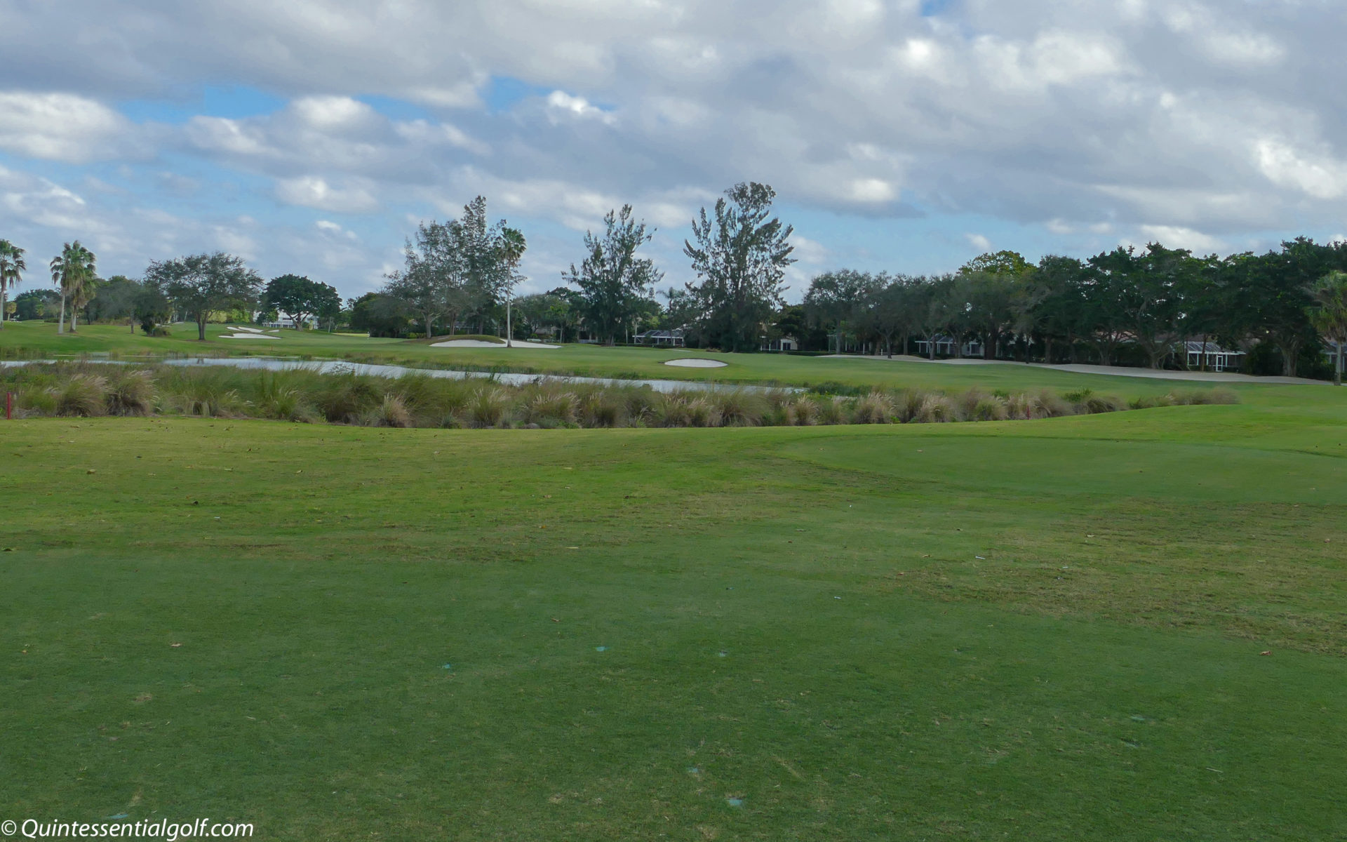 PGA National Palmer - Newly Rennovated - Quintessential Golf