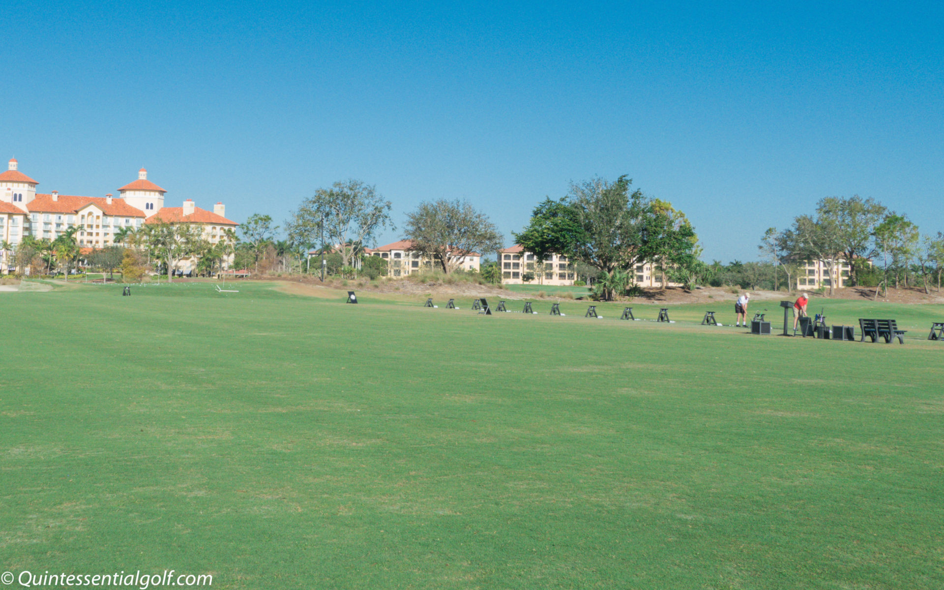 Gold Course at Tiburon Golf Club