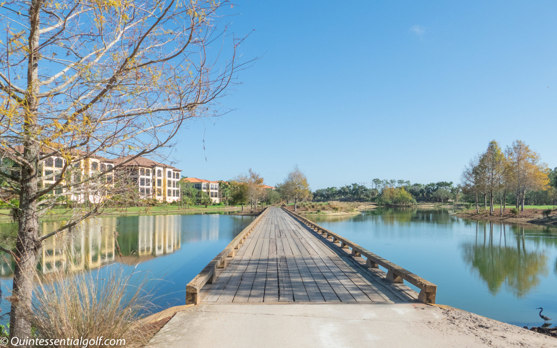 Gold Course at Tiburon Golf Club