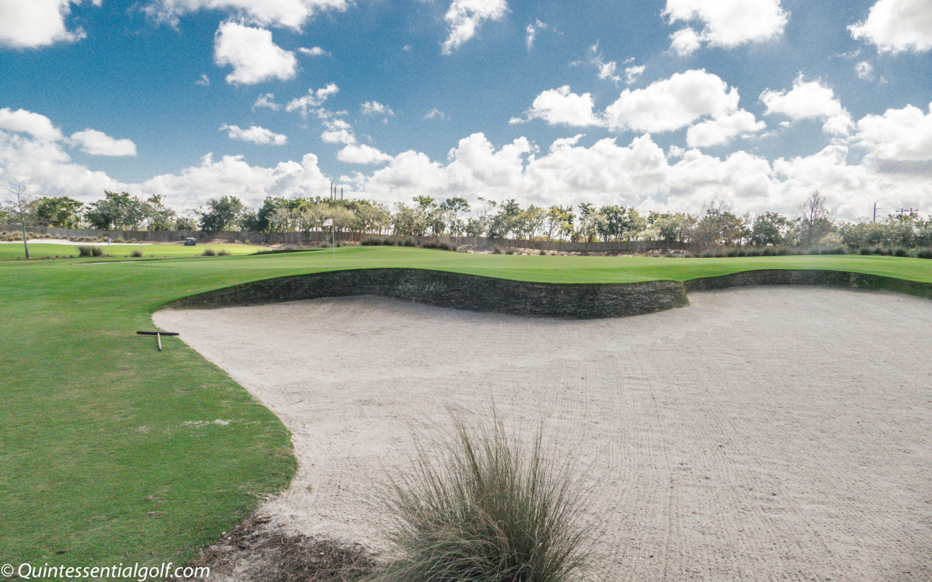 Gold Course at Tiburon Golf Club
