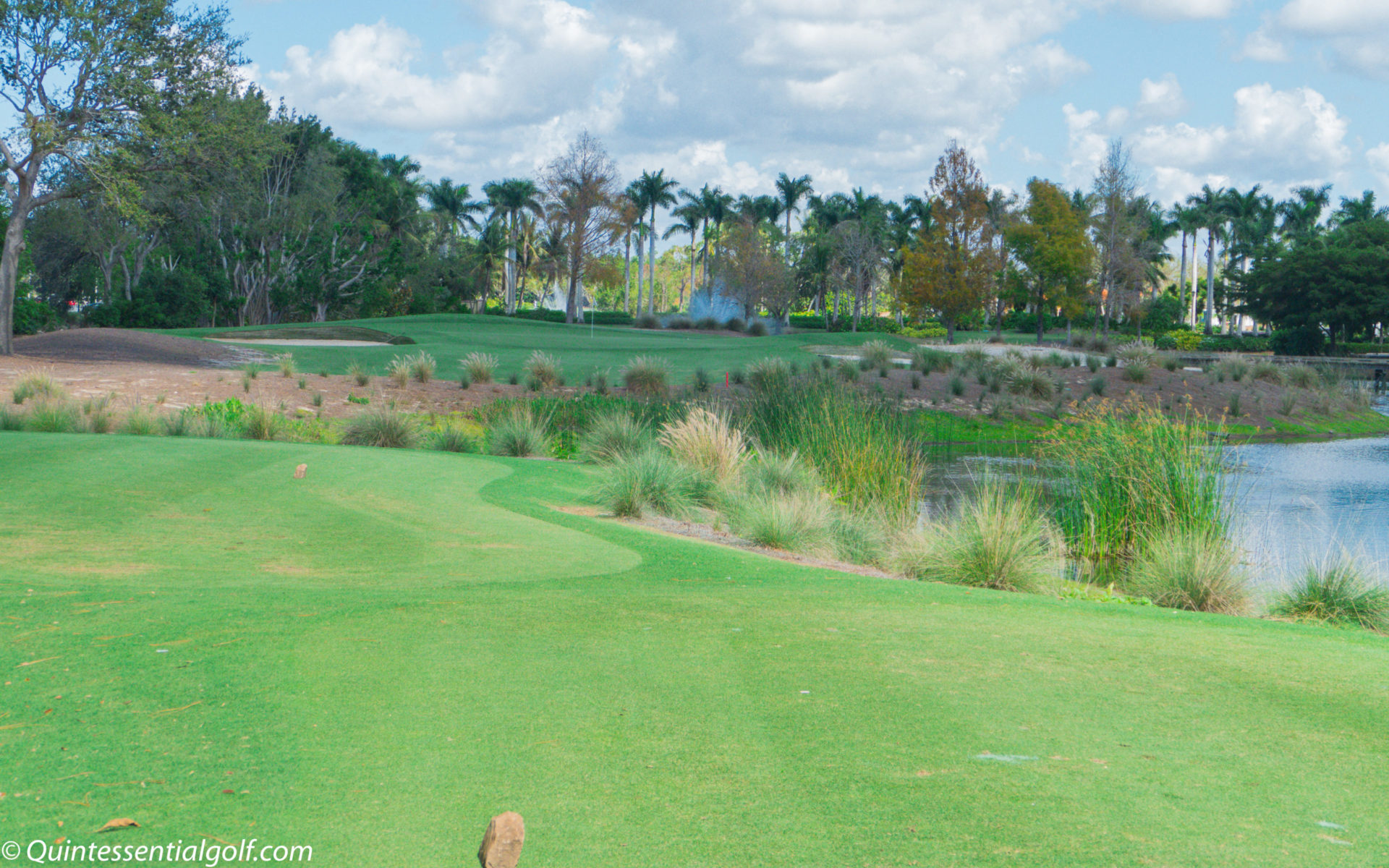 Gold Course at Tiburon Golf Club